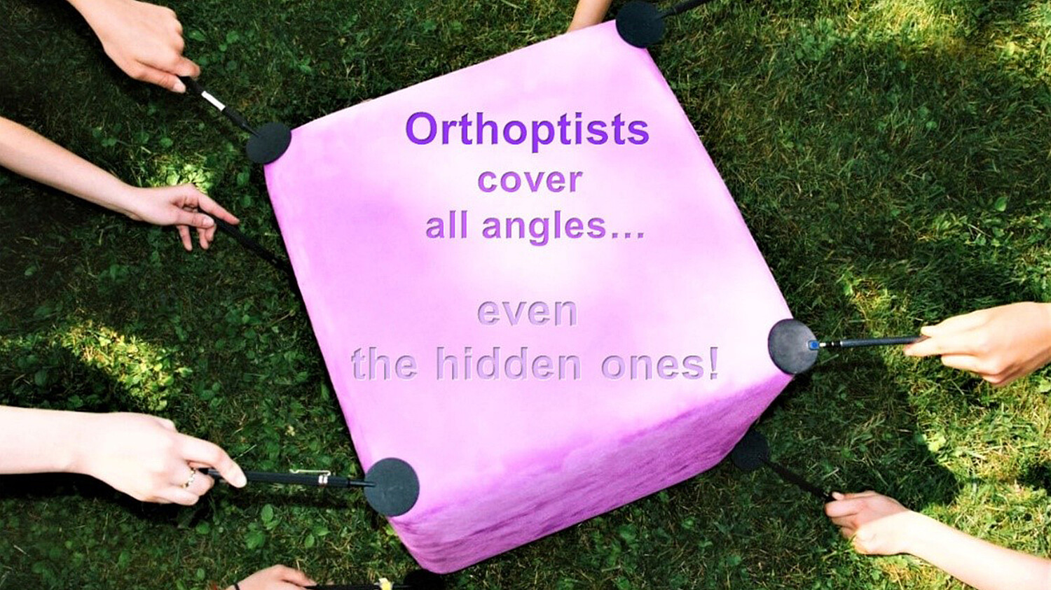 World Orthoptic Day 2023 | FH Salzburg